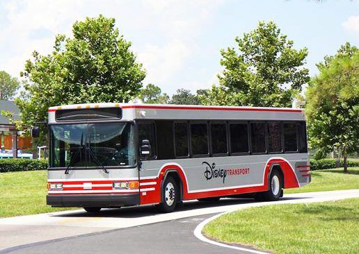 Express Bus Transportation